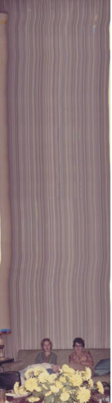 Memory Extended. | Frances Berry.Quiet Lunch