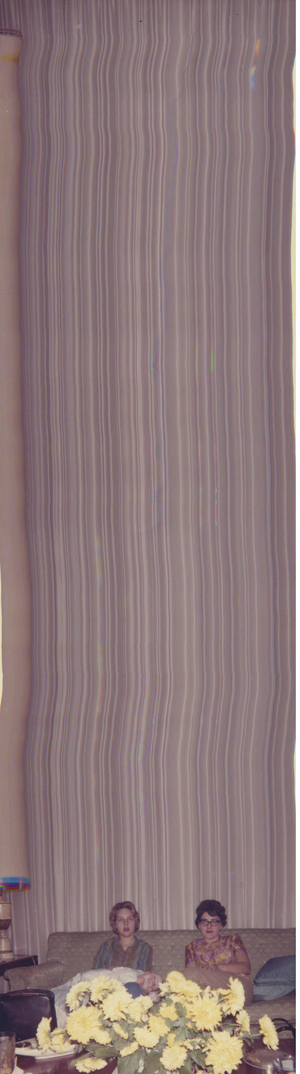 Memory Extended. | Frances Berry.Quiet Lunch