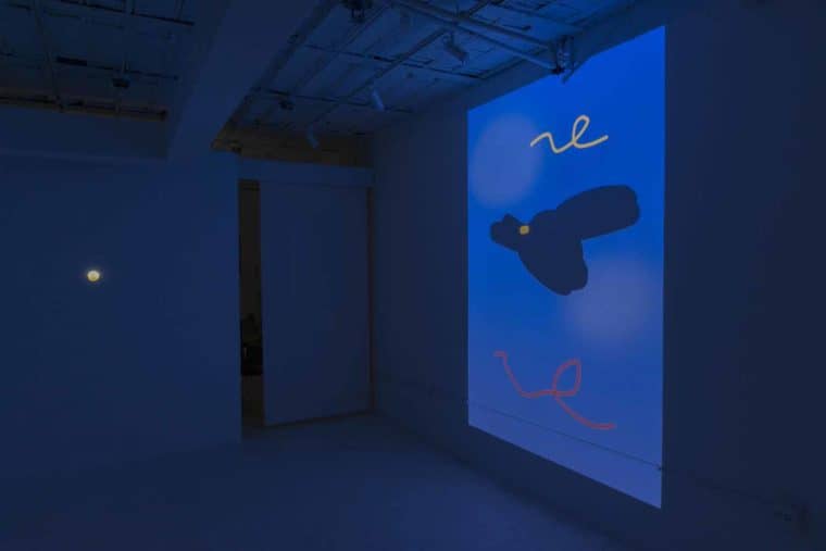 Exploring Nature with Castor Gallery.Alexandra Fanning