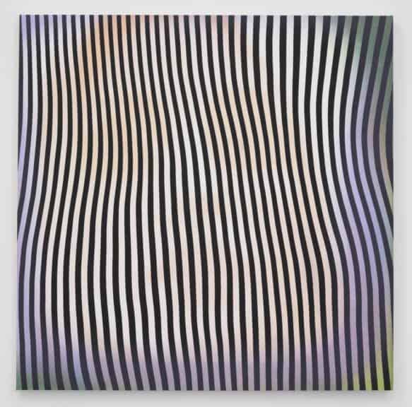 Exploring Nature with Castor Gallery.Alexandra Fanning