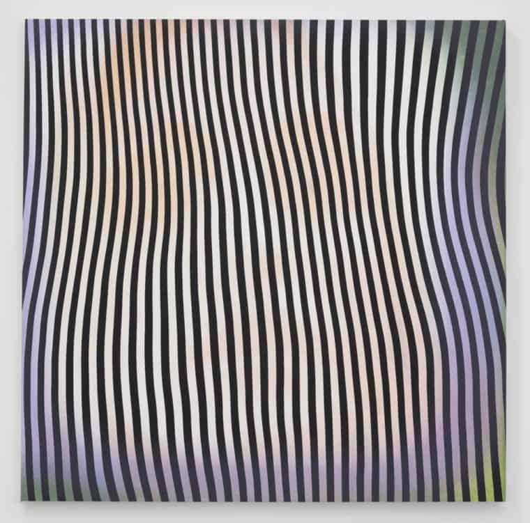 Exploring Nature with Castor Gallery.Alexandra Fanning