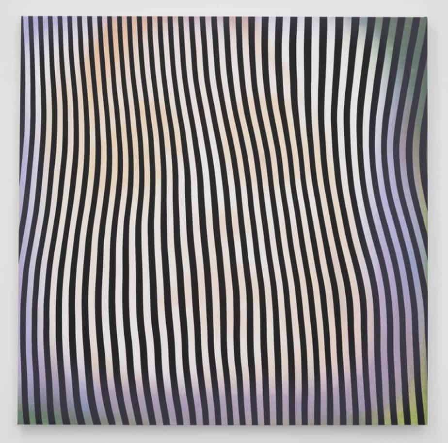 Exploring Nature with Castor Gallery.Alexandra Fanning