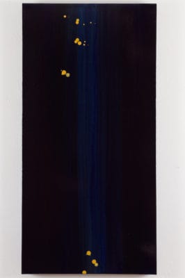 Taxonomy of Transcendence. | The Subtle Triumph of Michael Carini.Audra ...