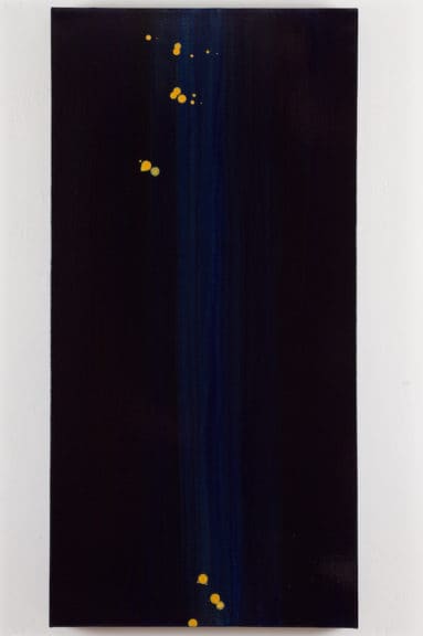 Taxonomy of Transcendence. | The Subtle Triumph of Michael Carini.Audra ...