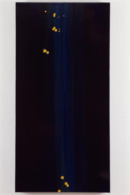 Taxonomy of Transcendence. | The Subtle Triumph of Michael Carini.Audra ...