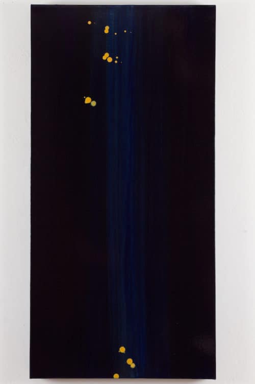 Taxonomy of Transcendence. | The Subtle Triumph of Michael Carini.Audra ...