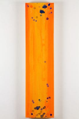 Taxonomy of Transcendence. | The Subtle Triumph of Michael Carini.Audra ...