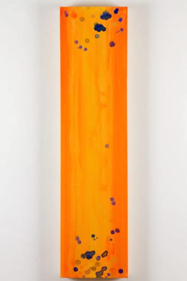 Taxonomy of Transcendence. | The Subtle Triumph of Michael Carini.Audra ...