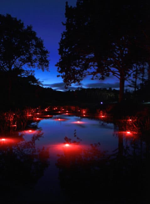 Titia Ex. | Light Art for the Common Good.Eva Zanardi