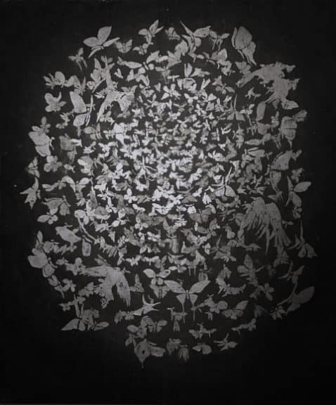 Industrial Melanism | Neil Grayson | Debut Solo Exhibition at Ekyan ...