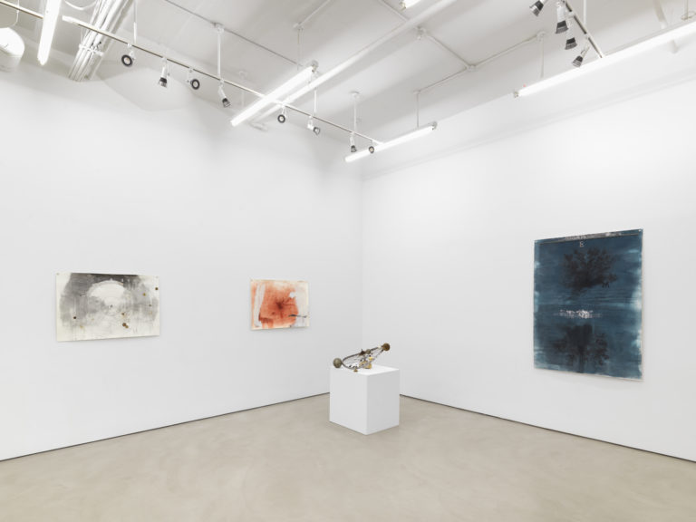 Ricardo Brey’s Doble Existencia/Double Existence at Alexander Gray ...