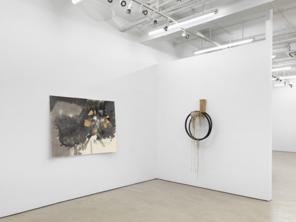 Ricardo Brey’s Doble Existencia/Double Existence at Alexander Gray ...