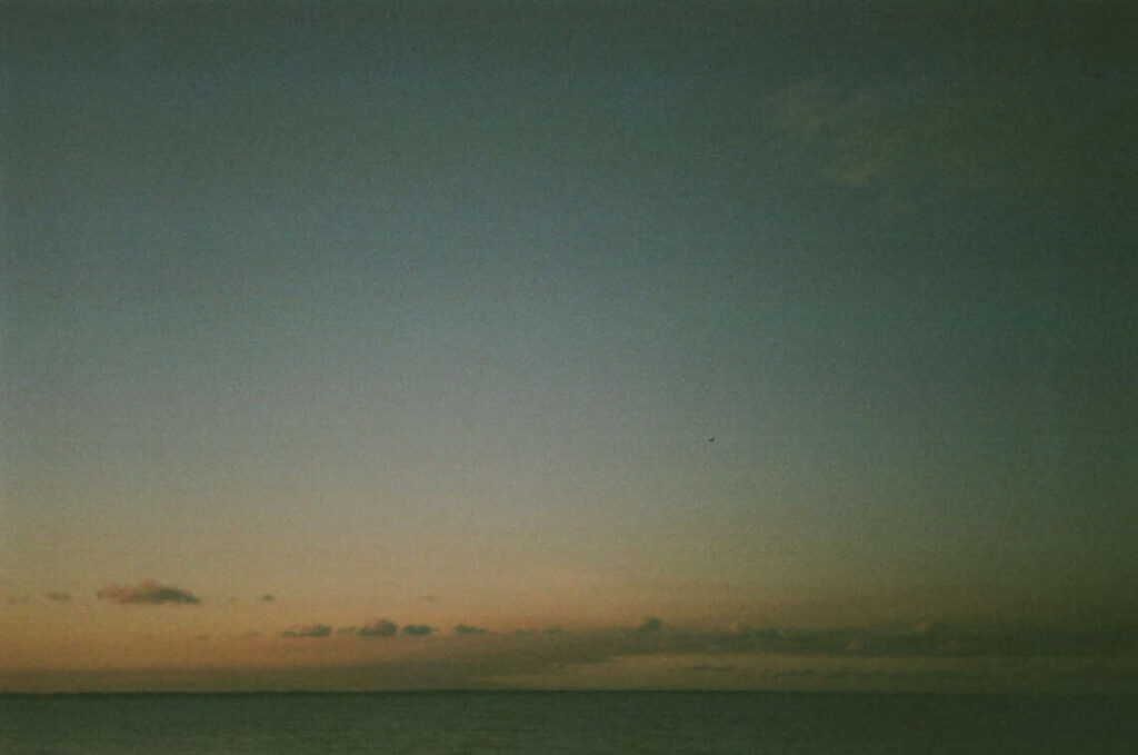 Original Myth, 2022 by Diane Knarr. | Quiet Lunch.