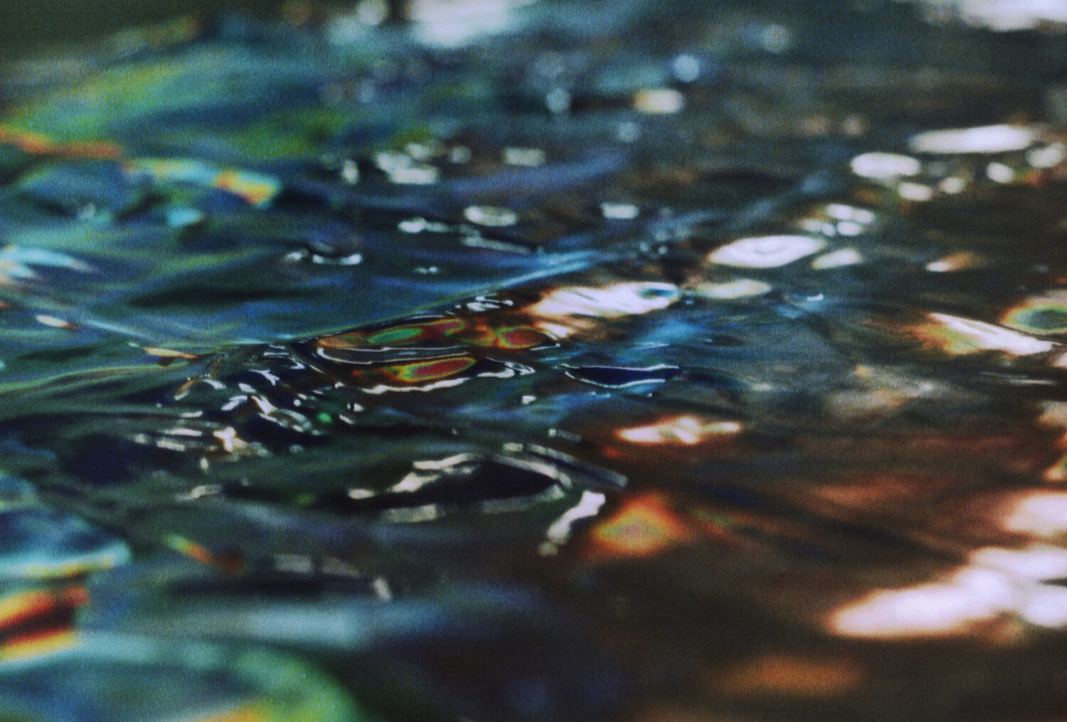 The Movement of Light and Cyberspace: An Interview with Daniel O’Toole ...